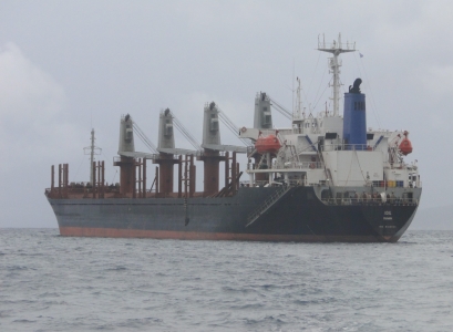 Home - Transbulk Management Inc.